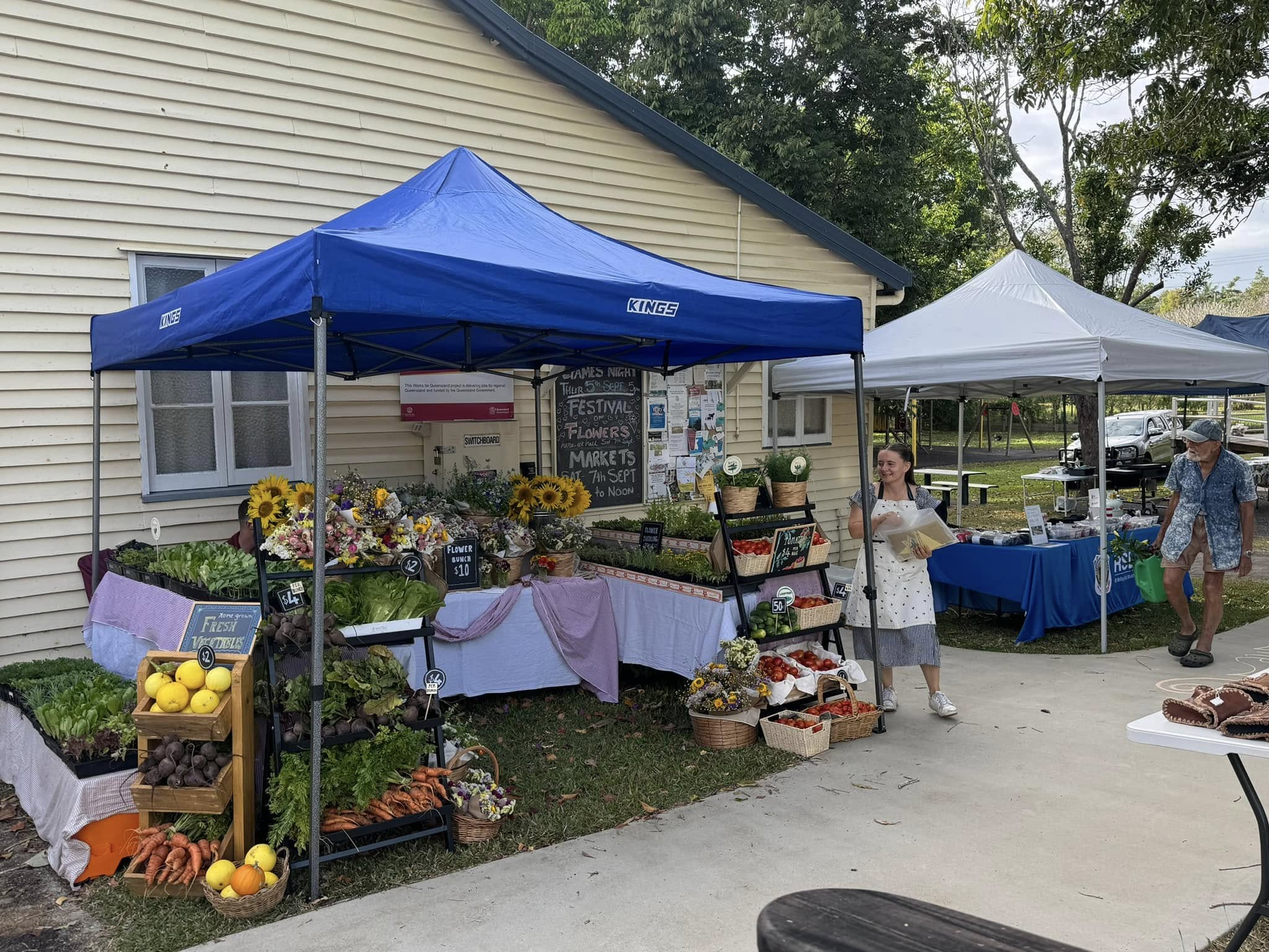 Mt Molloy Markets – What's On Tablelands