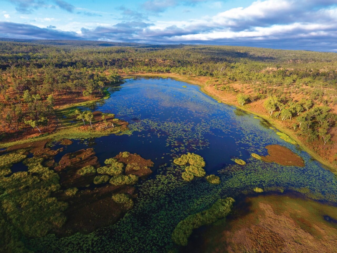 Camping FNQ’s Overlooked Wilderness - What's On Tablelands